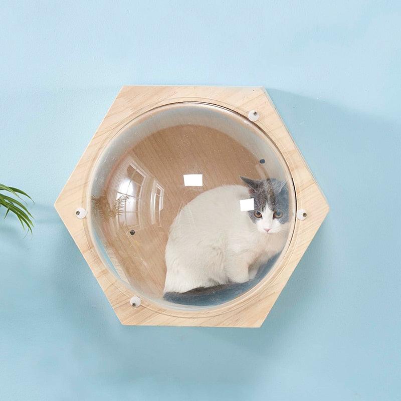 Wall|Mounted Cat Climbing Frame | iBuyXi