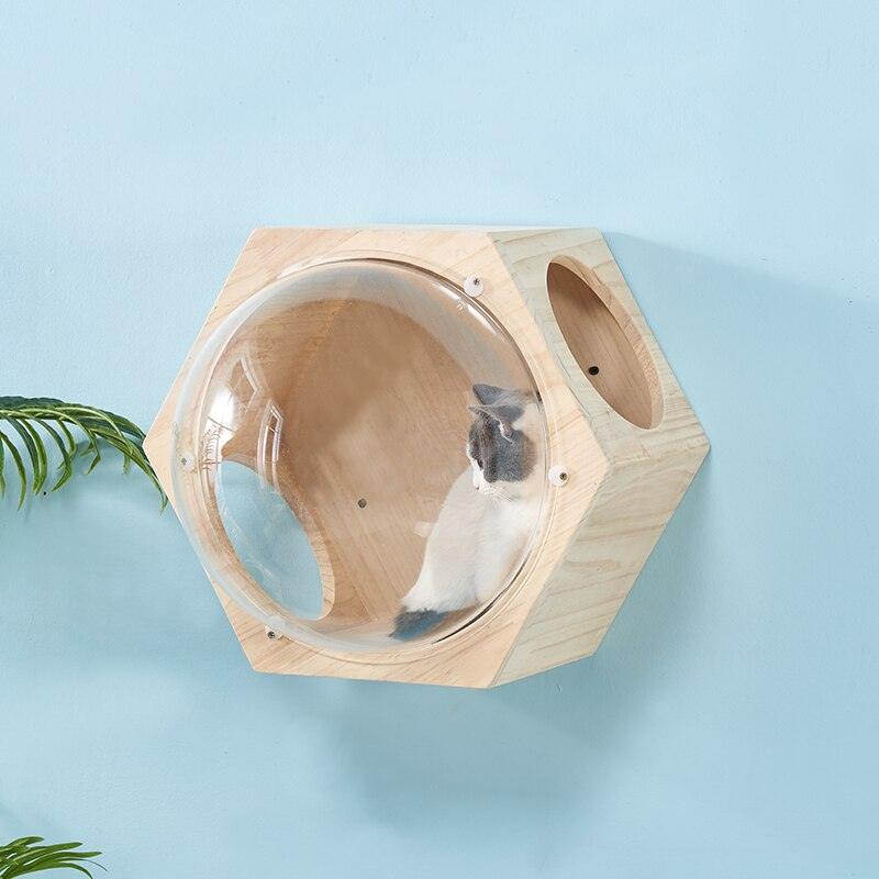 Wall|Mounted Cat Climbing Frame | iBuyXi